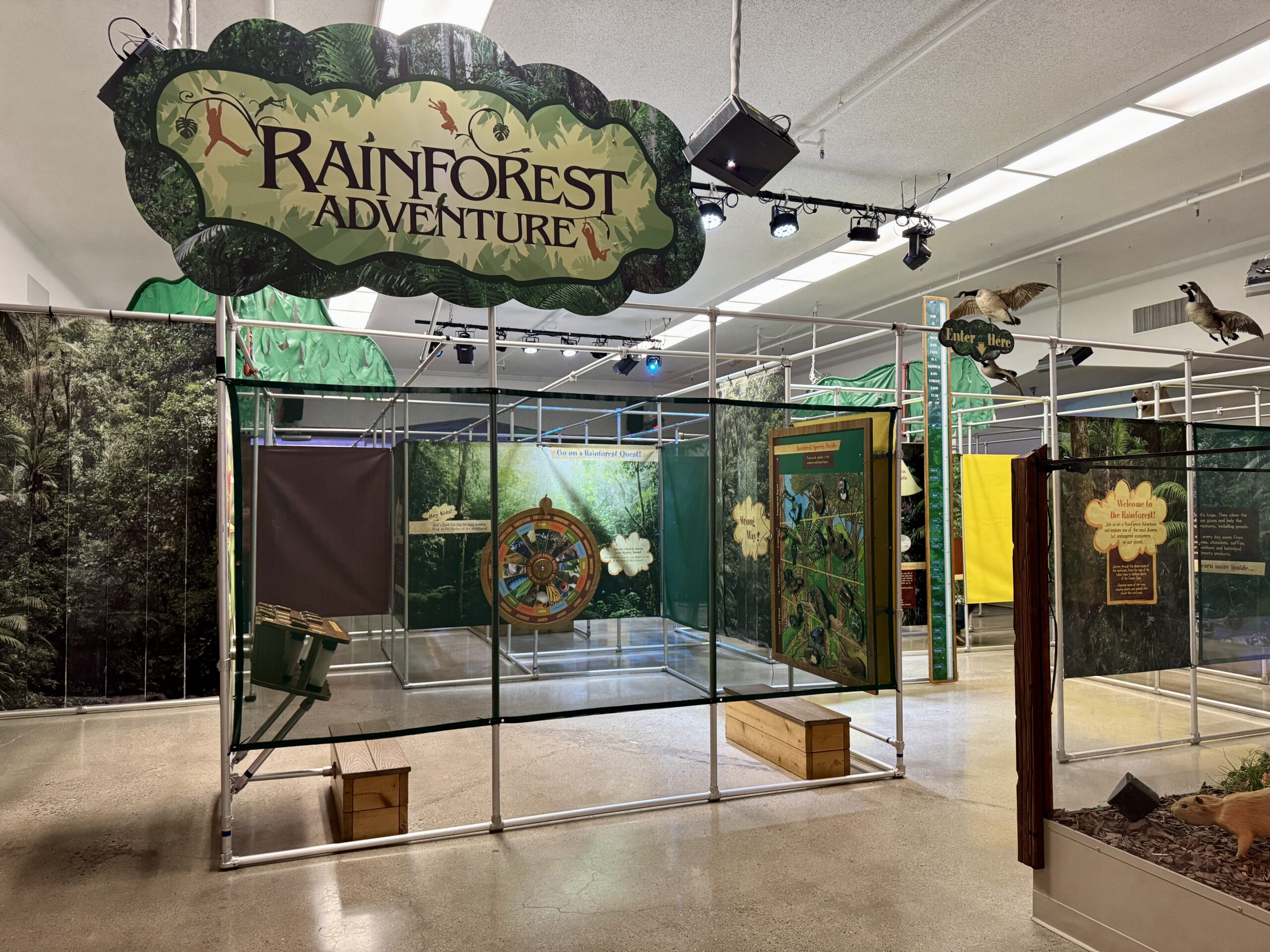 Las Vegas Natural History Museum Invites Locals to Explore the ...